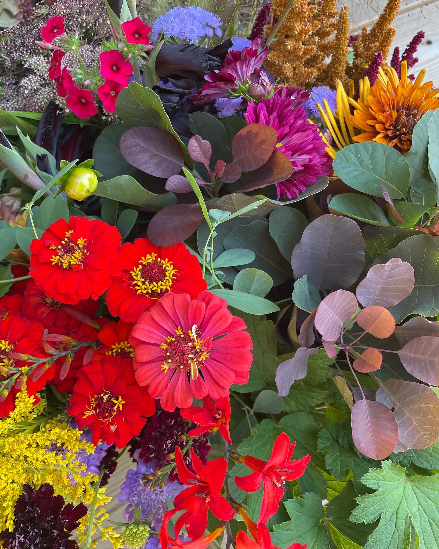 Farm Beginnings: Old Time Flowers