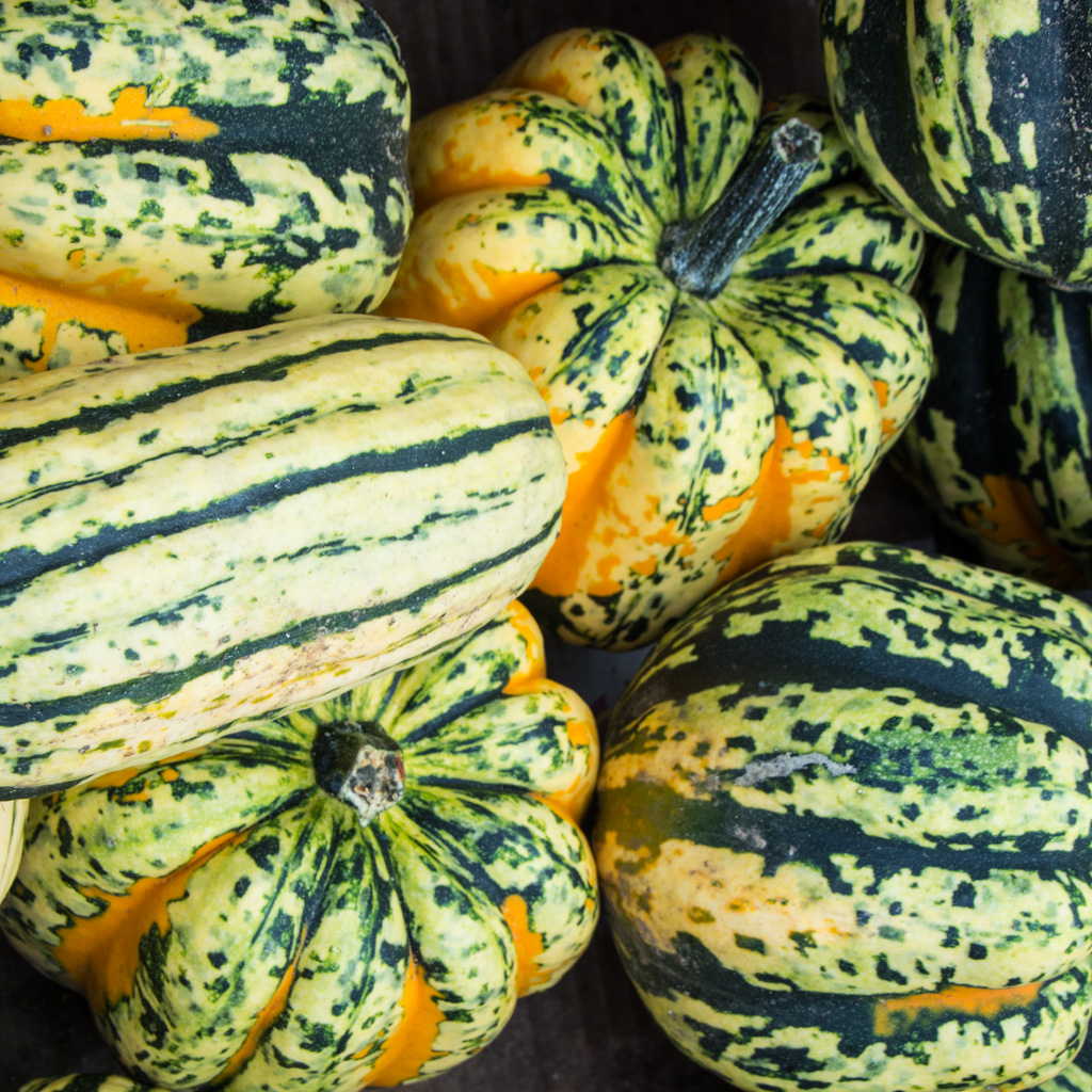 Why Buy Organic? | NOFA Vermont